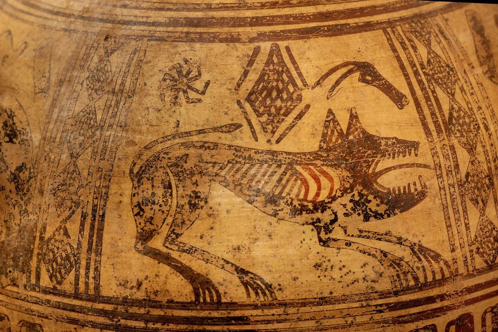 Informations – Museo Pithecusae