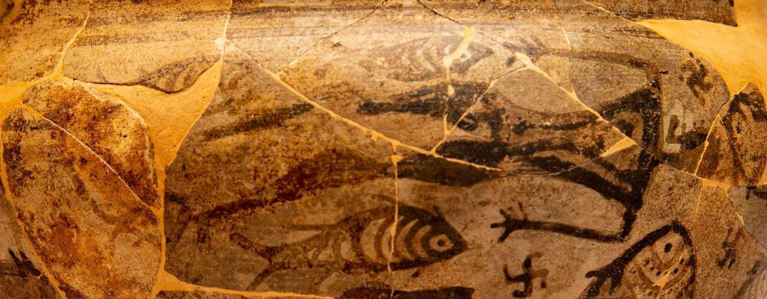 Press Release – Museo Pithecusae