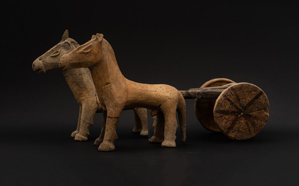 Museo Pithecusae – Archaeological Museum of Pithecusae