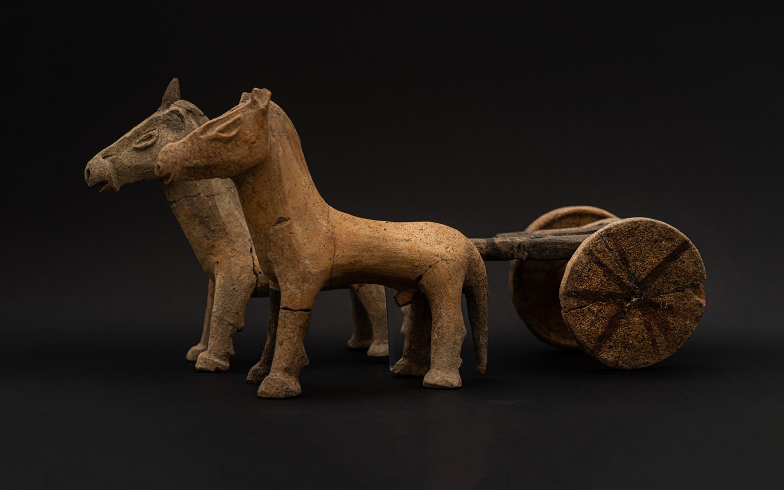 Museo Pithecusae – Archaeological Museum of Pithecusae