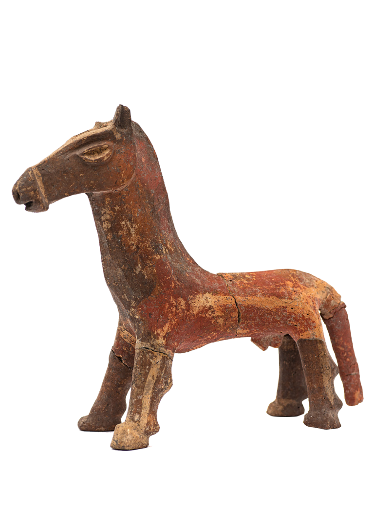 Museo Pithecusae – Archaeological Museum of Pithecusae