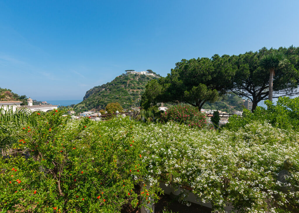 The island of Pithecusae: its history and myths – Museo Pithecusae