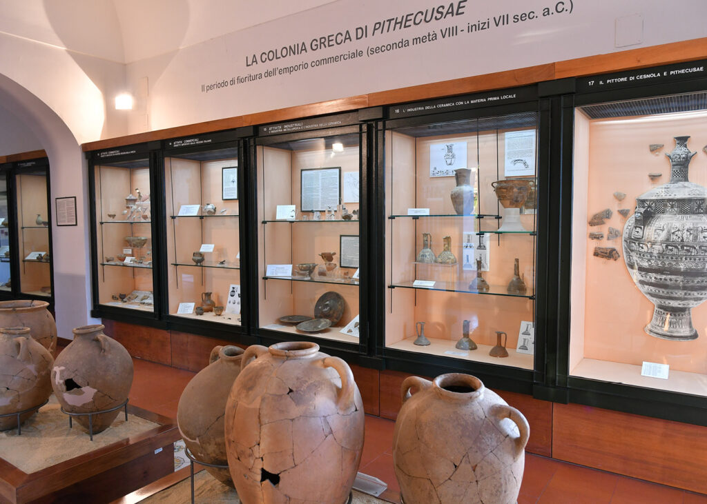 The history of the Museum – Museo Pithecusae