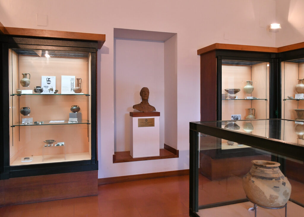 The history of the Museum – Museo Pithecusae