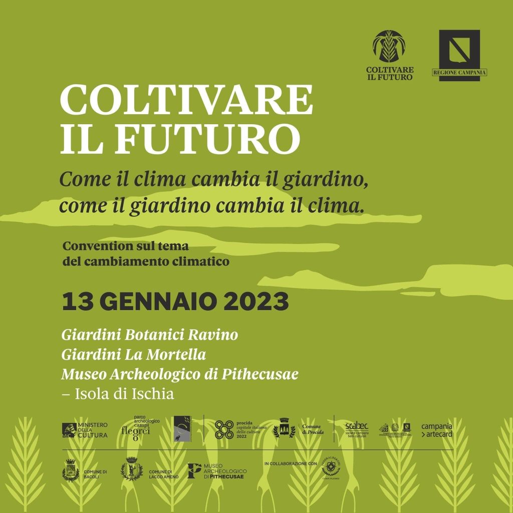 Museo Pithecusae – Archaeological Museum of Pithecusae