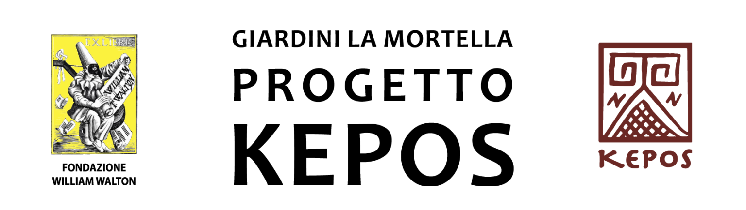 Museo Pithecusae – Archaeological Museum of Pithecusae