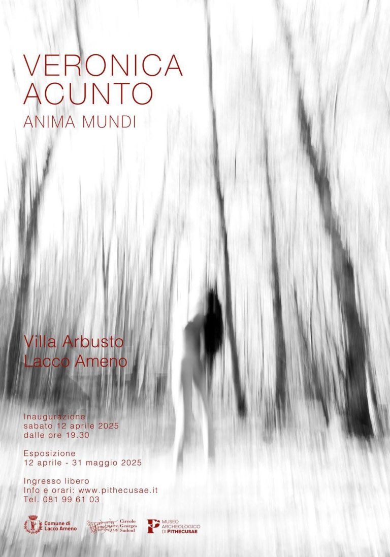 Museo Pithecusae – Archaeological Museum of Pithecusae