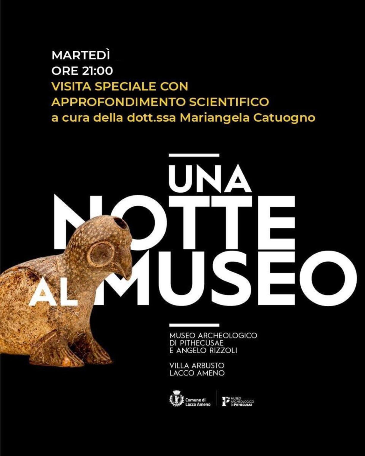 Museo Pithecusae – Archaeological Museum of Pithecusae